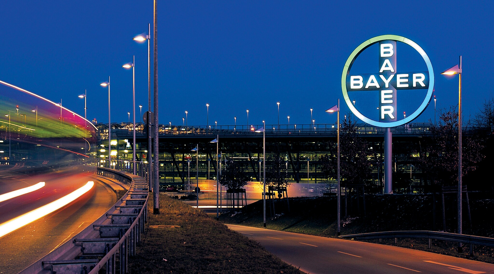 Bayer lança híbridos de milho com maior segurança agronômica e ...